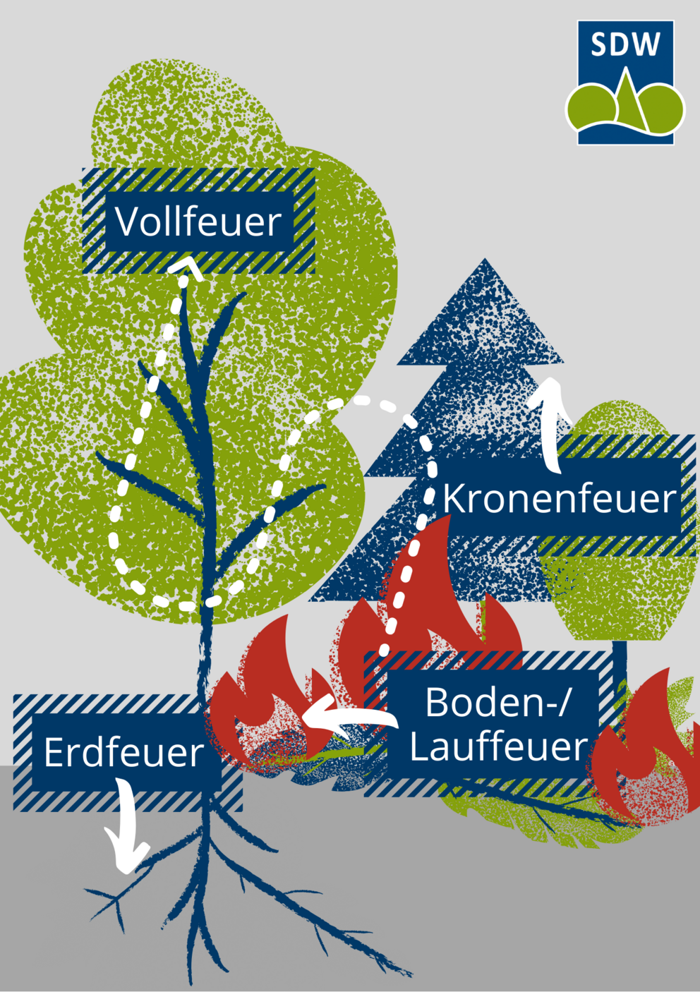 Waldbrand: LV Rheinland-Pfalz