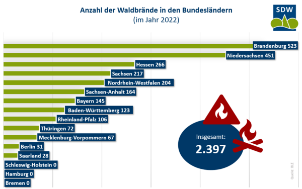 Waldbrand: LV Rheinland-Pfalz