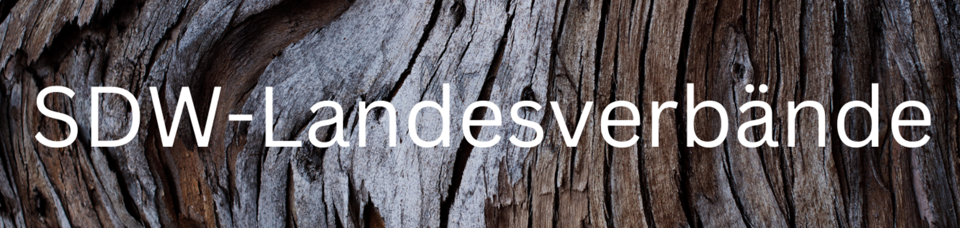 Landesverbände: LV Rheinland-Pfalz