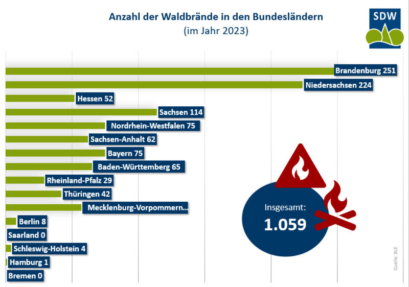 Waldbrand: LV Rheinland-Pfalz